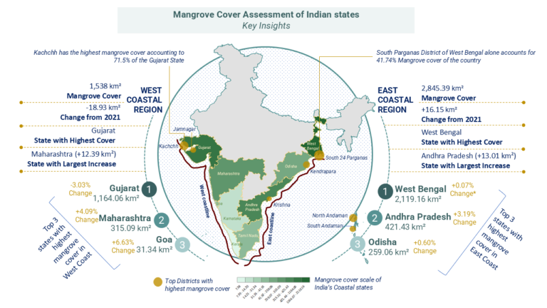 Mangroves: India’s Silent Climate Warriors - Tarutium Global Consulting